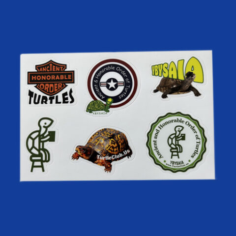 Sticker Sheet - Turtle Club Us