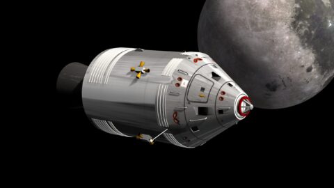 Honorable Order of Turtles Explained and 4 Riddles to Join.