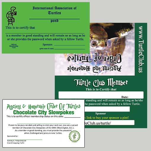 Cards - Turtle Club Us