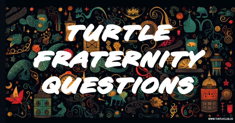 4 Awesome Turtle Fraternity Questions - Turtle Club Us